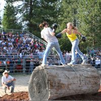 Festivals & Fairs – Lincolncounty Website